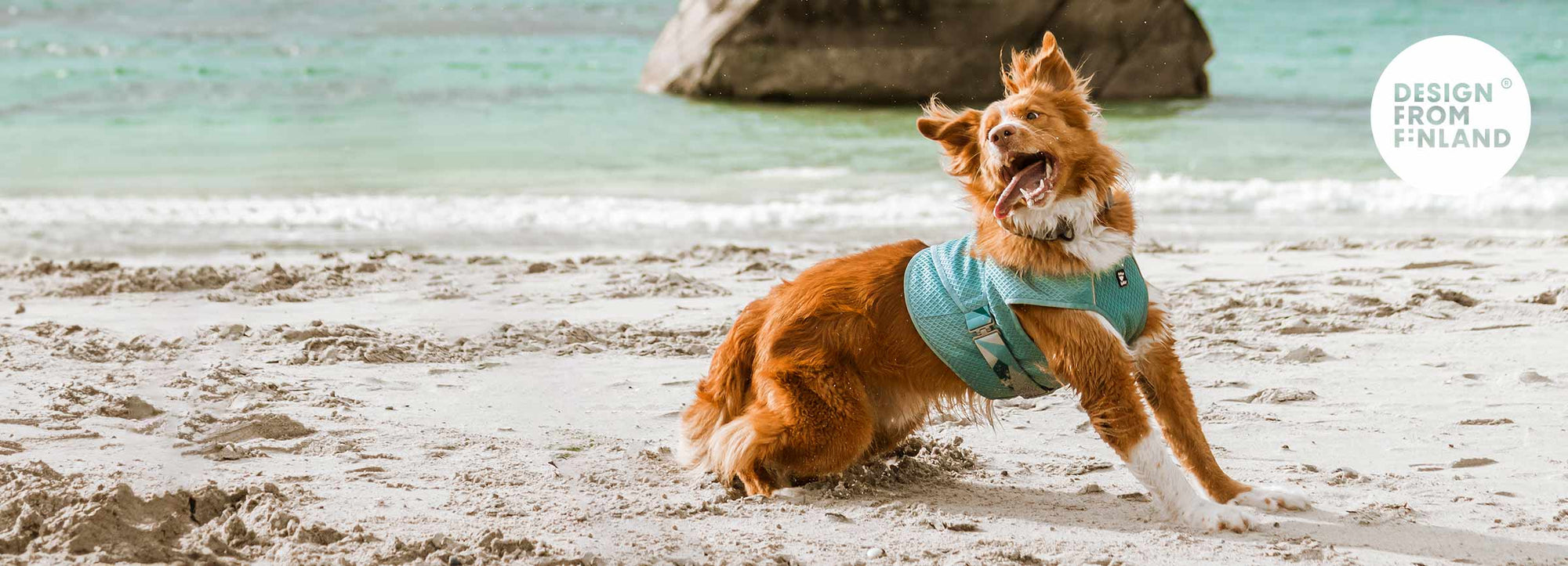 Dog clothing, harnesses, collars and leashes – Hurtta.com