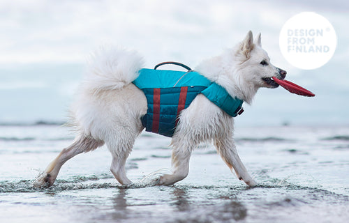 Dog clothing, harnesses, collars and leashes – Hurtta.com