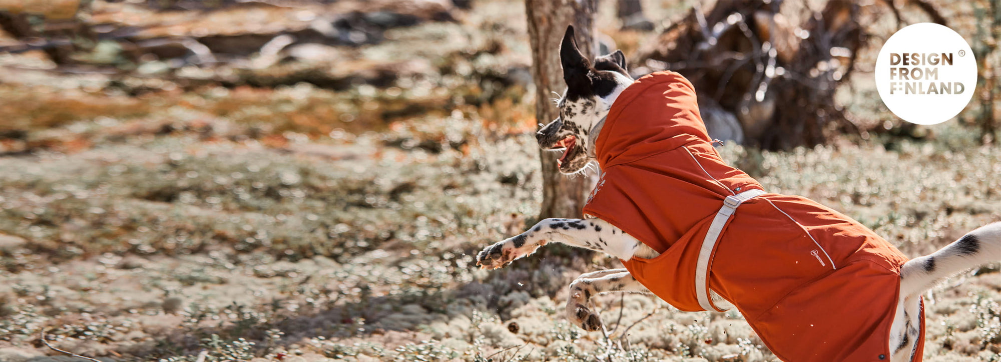 Dog clothing, harnesses, collars and leashes – Hurtta.com