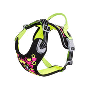 Hurtta dog harnesses – Hurtta.com