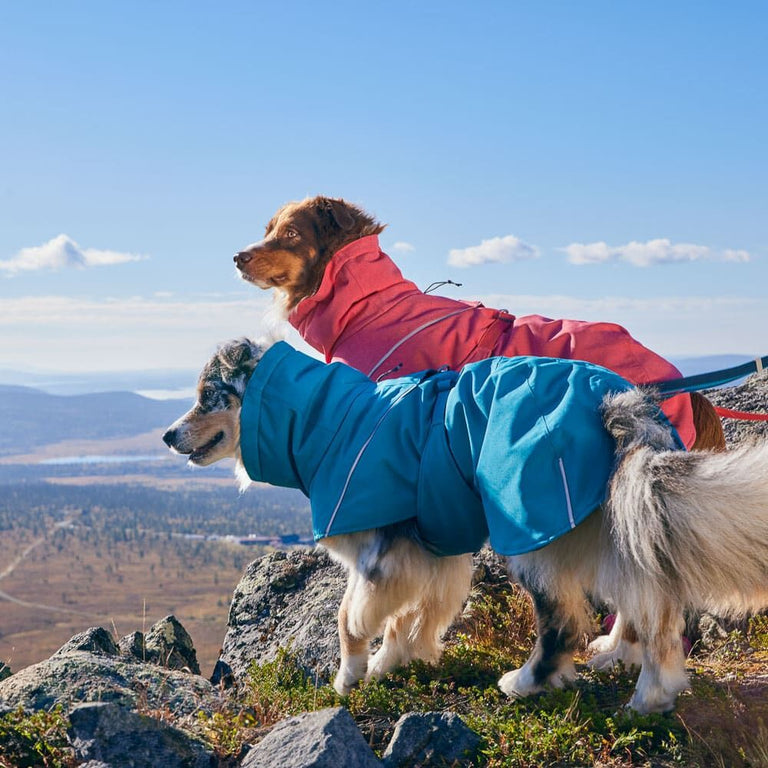 Expedition Parka II – Warm & Weatherproof dog winter coat – Hurtta.com
