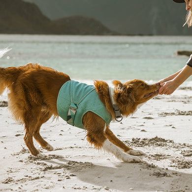 Cooling Wrap dog cooling vest – Hurtta.com