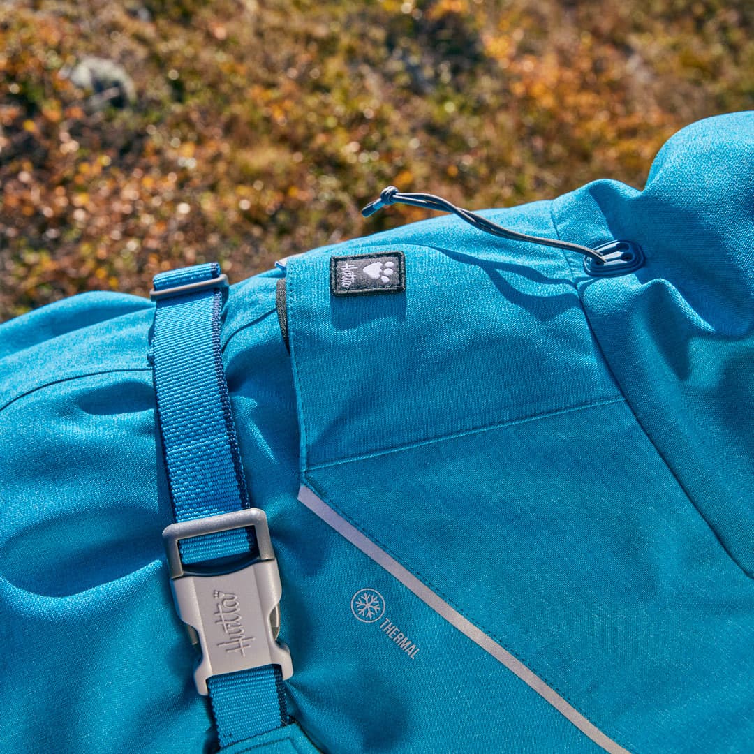 The Ultimate Playtime Parka – Expedition Parka II for Active Dogs ...